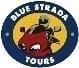 Blue Strada Tours Announces Adventure Bike Iceland Tour - Cycle News