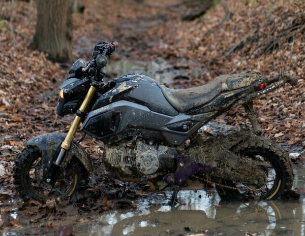 Barber Small Bore Event 2019 - Cycle News