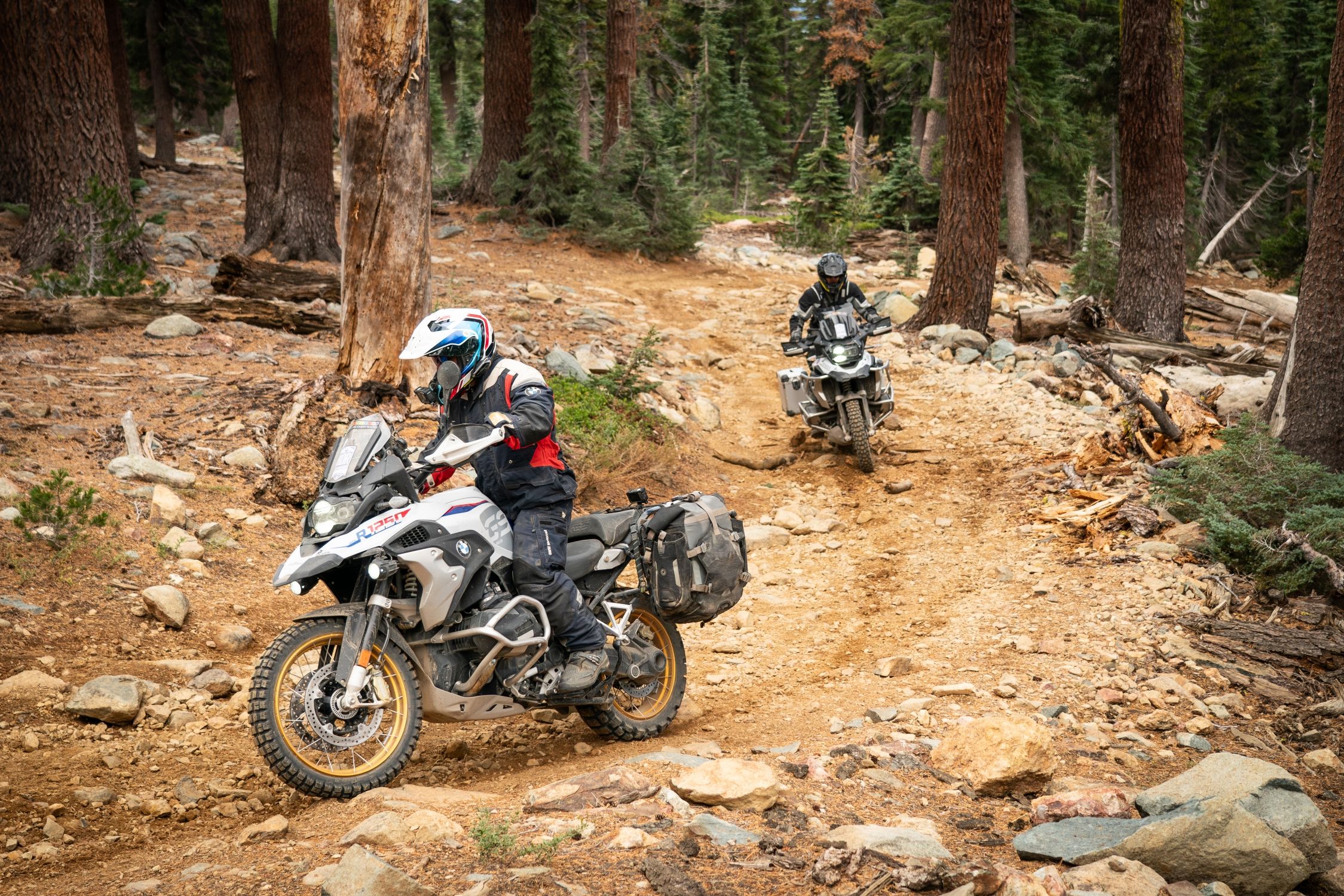 BMW Motorrad USA and Backcountry Discover Routes Unveil New Northern ...