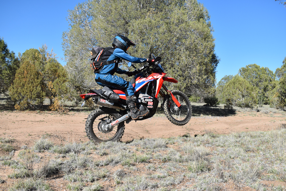 Honda CRF300L Rally Project - Cycle News