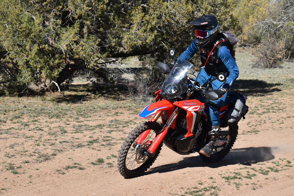 Honda CRF300L Rally Project - Cycle News