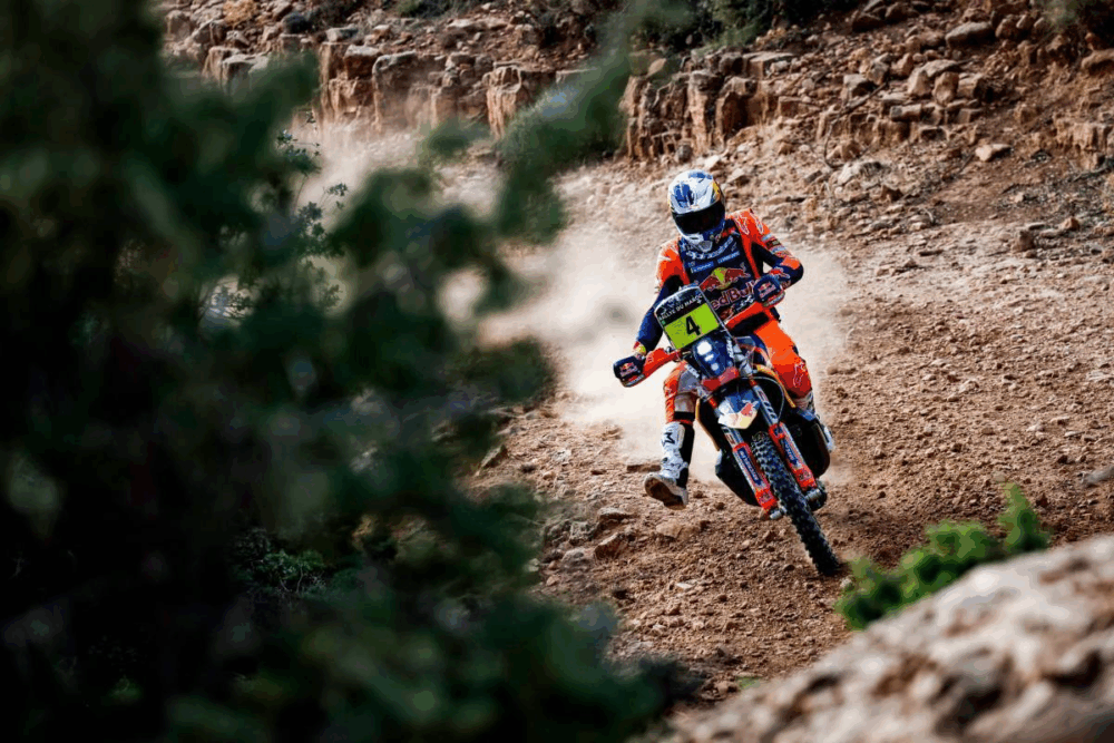 2025 FIM World Rally-Raid Round 5 Results (Updated) - Cycle News